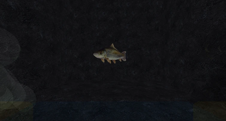 Come to think of it, Happy birthday Killer fish. | Fandom
