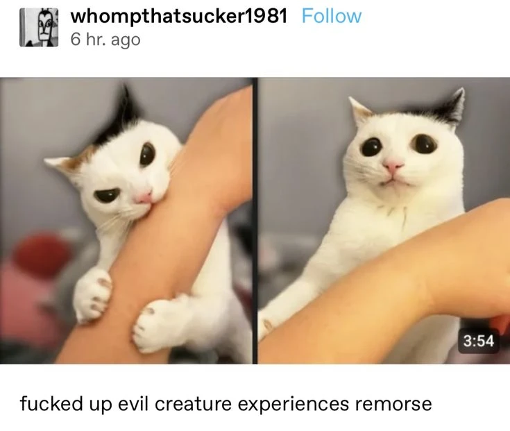 Is this how y'all view me? | Fandom