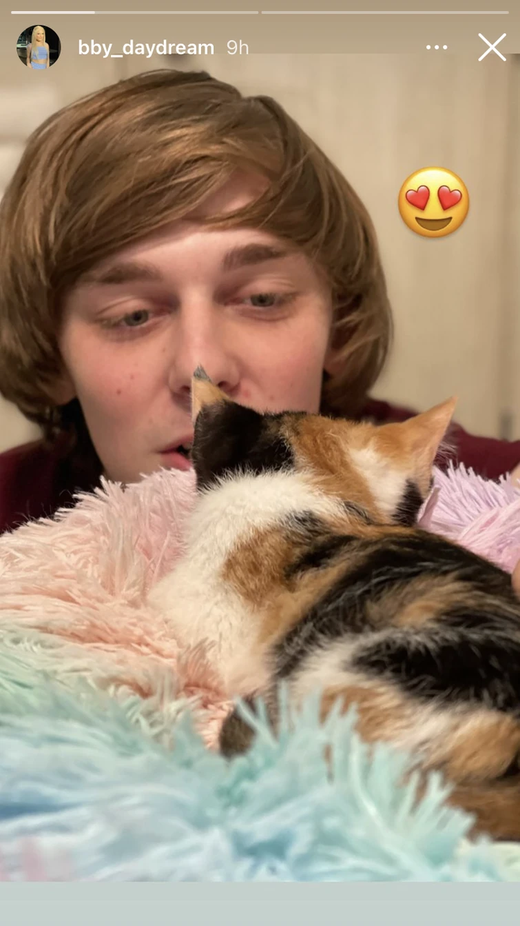 Logan got a new cat? | Fandom