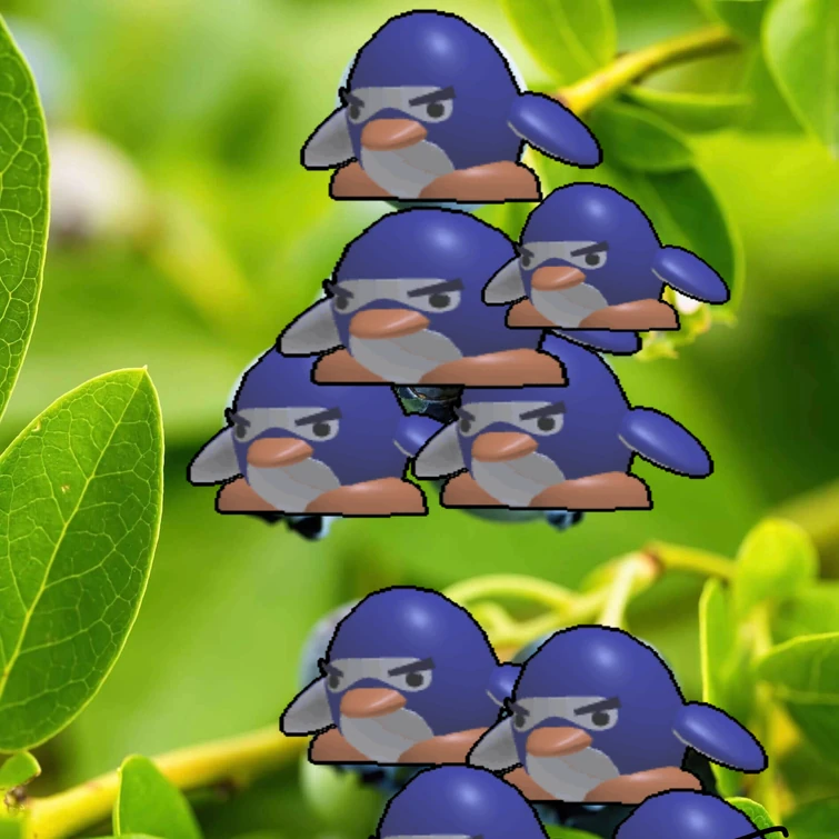 tutorial berry | Fandom