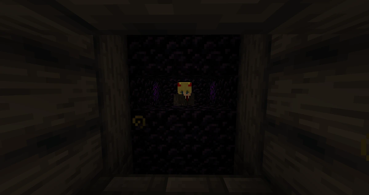 Aidyn's Imprisonment | Aidyn SMP Wiki | Fandom