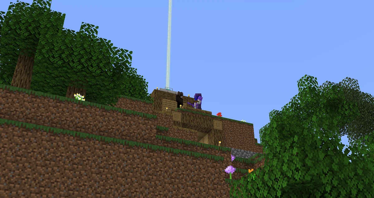 Nemyem's Confrontation | Aidyn SMP Wiki | Fandom