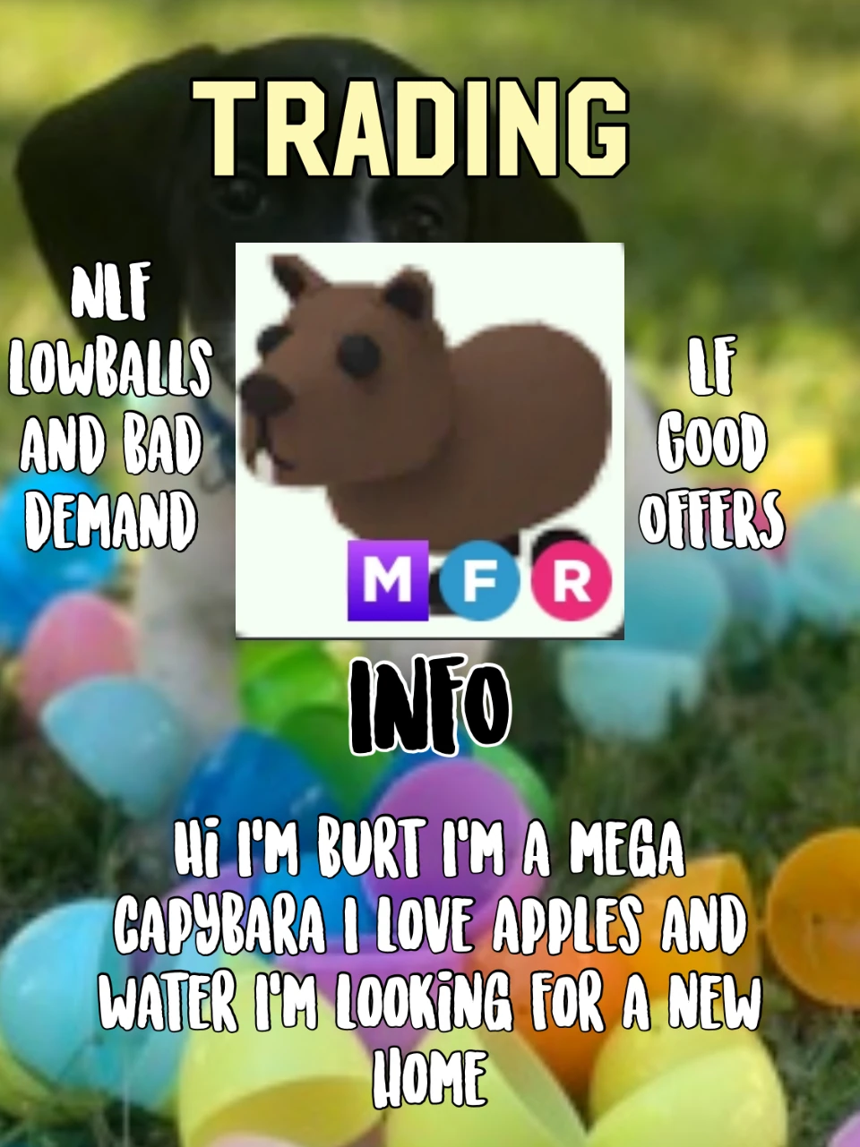 Adopt a burt today | Fandom