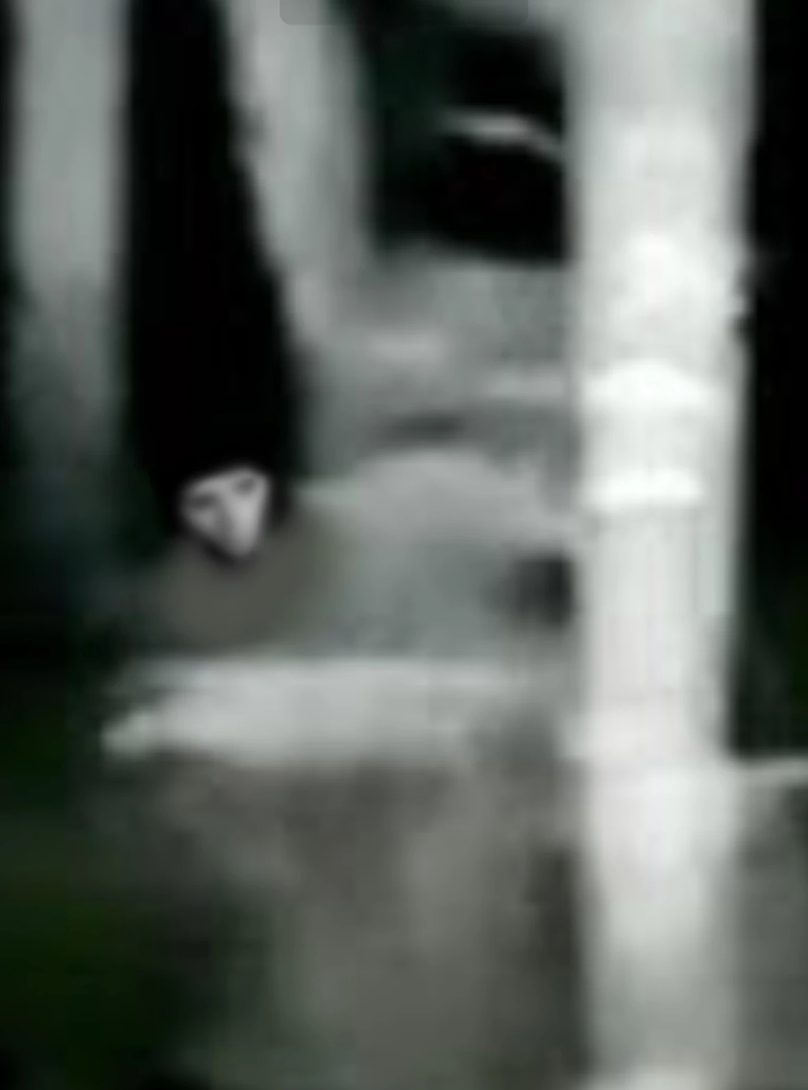 Ninjas Cryptids | Fandom