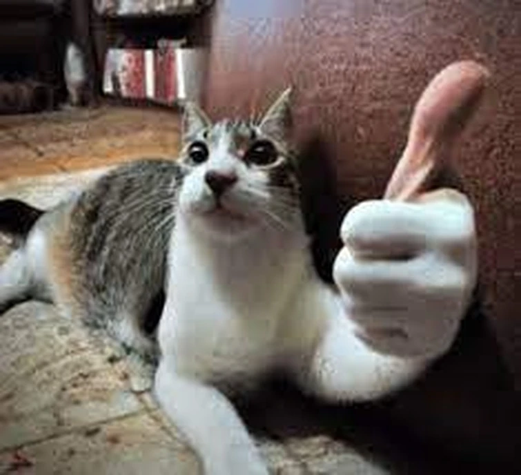 Dark Kasli or Light Kasli | Fandom