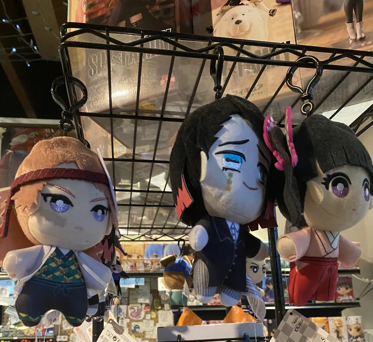 KNY merch from a cute little Japanese shop I visited | Fandom