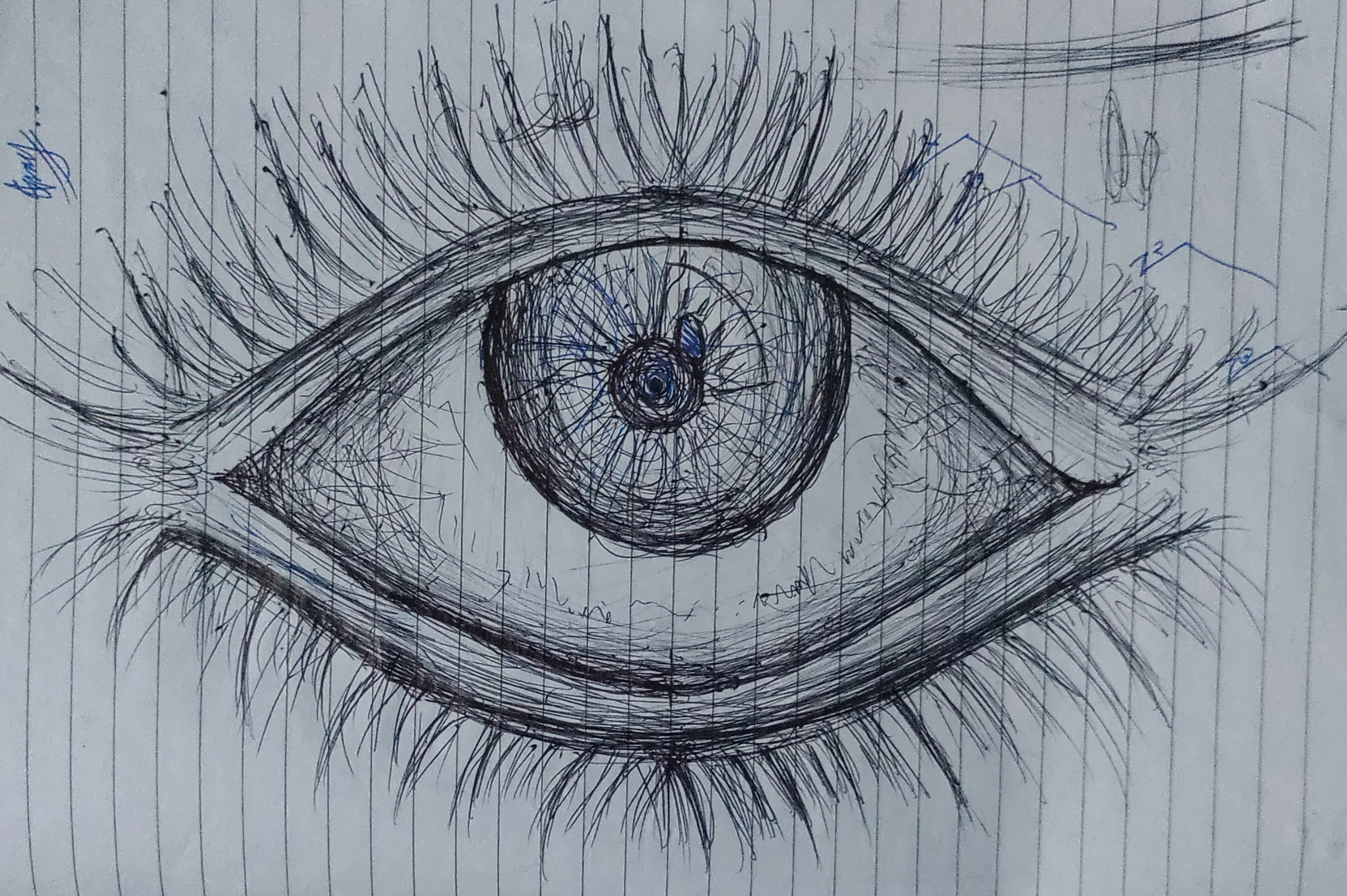 quick scribble (rate out of 10) | Fandom