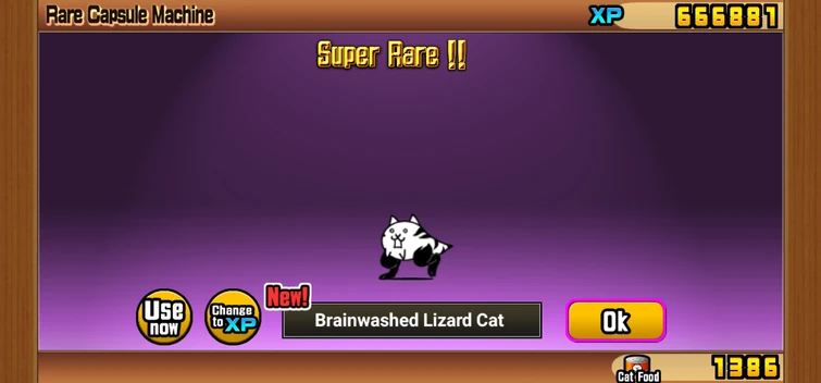 Brainwashed lizard cat fella | Fandom