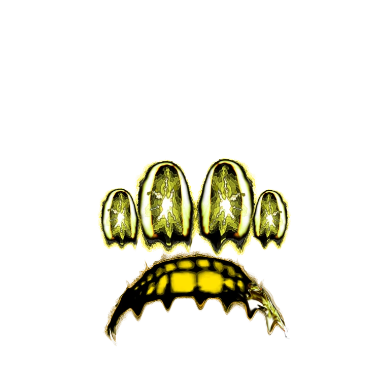 A-5 and X-5 remakes | Fandom