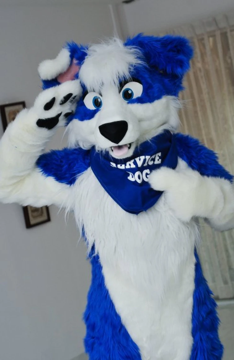 Insert furry image here | Fandom