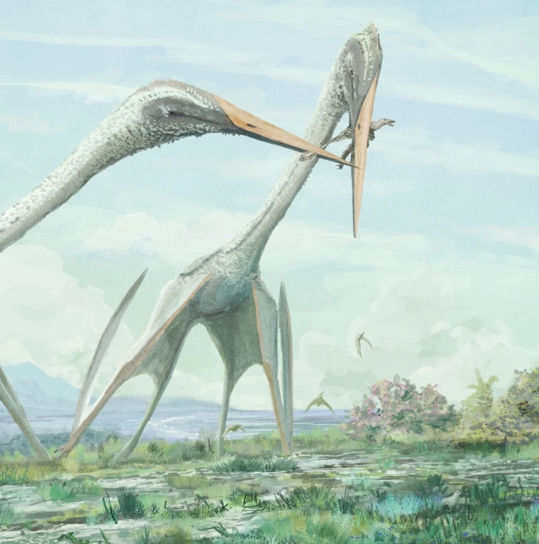Discuss Everything About Dinopedia | Fandom