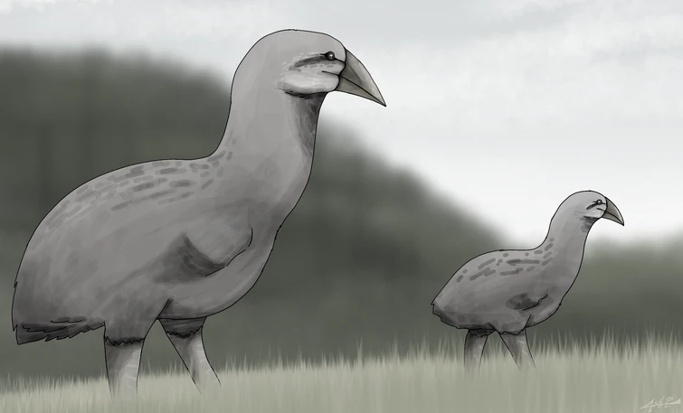 Discuss Everything About Dinopedia | Fandom