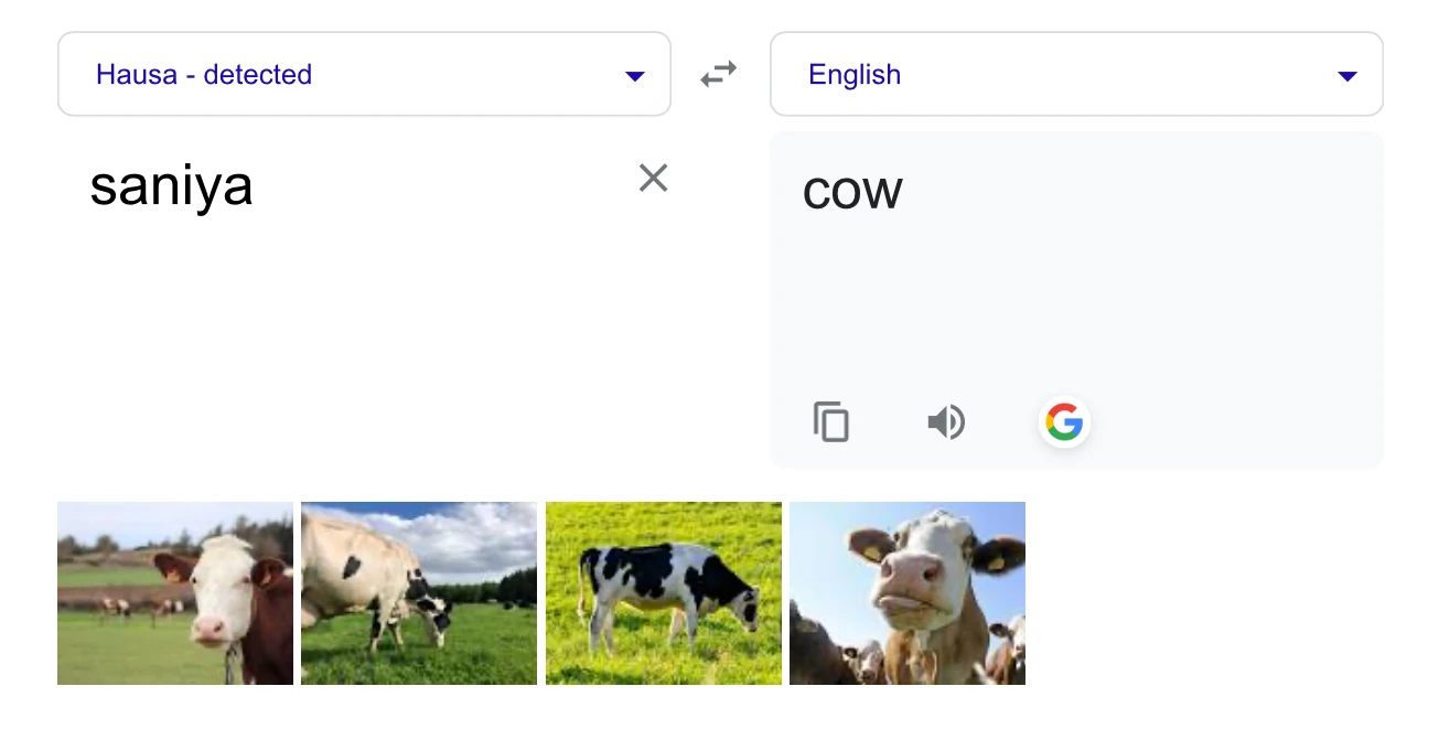 Why would you do this to me, translator? | Fandom