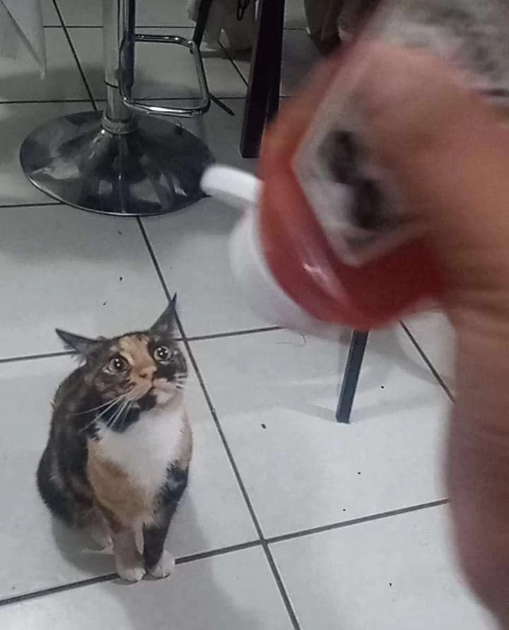 Well nevermind | Fandom