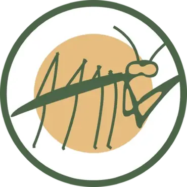 Discuss Everything About The Karate Kid Wiki | Fandom