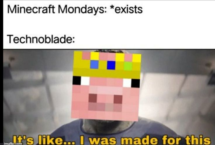 Dsmp memes to make your day better | Fandom