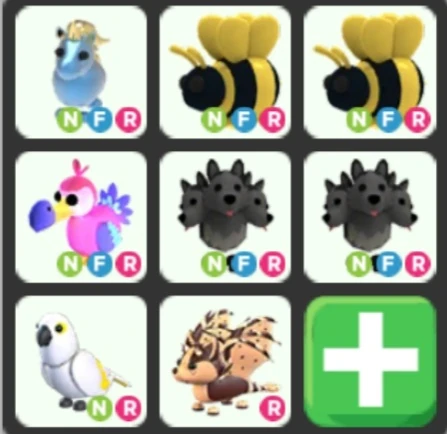 How many NFR CCBD can I get with this? | Fandom