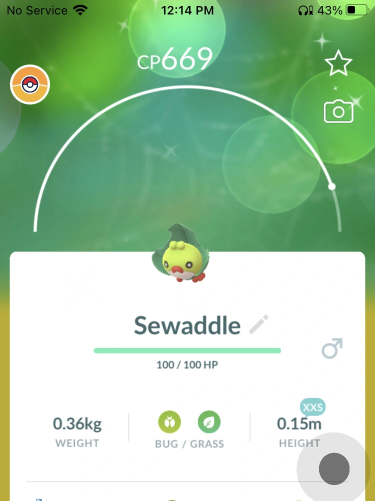 Yo I just caught a Shiny XXS sewaddle can’t you believe it! | Fandom