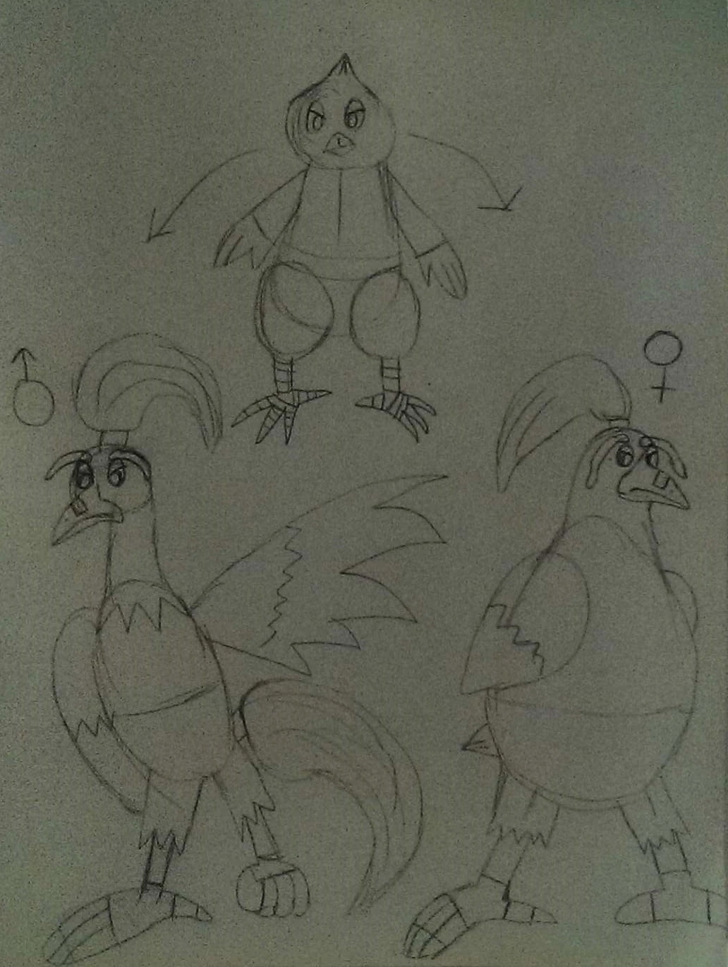 Chicken Pokemon | Fandom