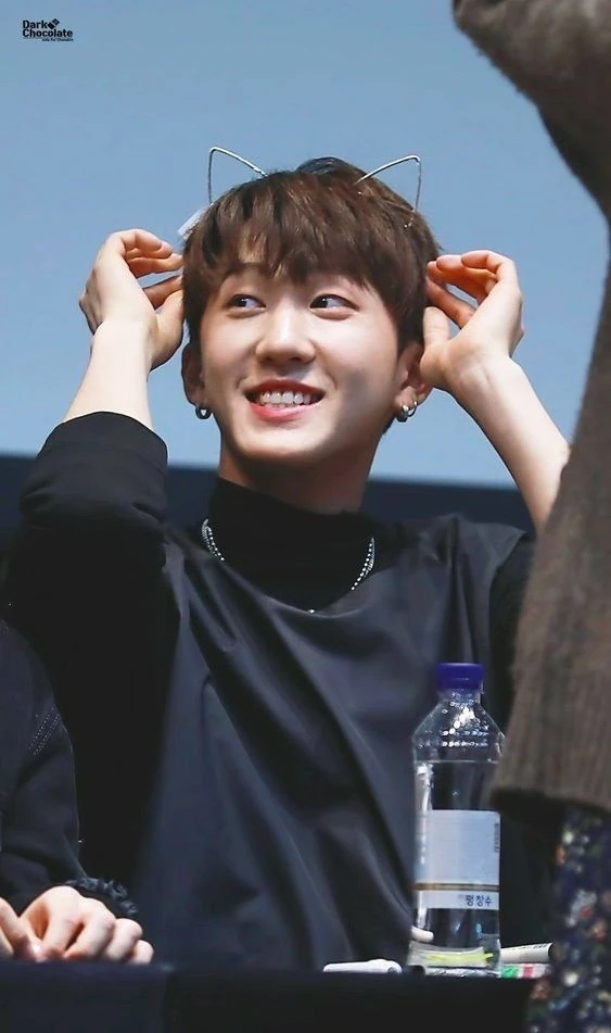 VOTE FOR CHANGBIN !!! | Fandom
