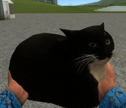 maxwell the cat | Fandom