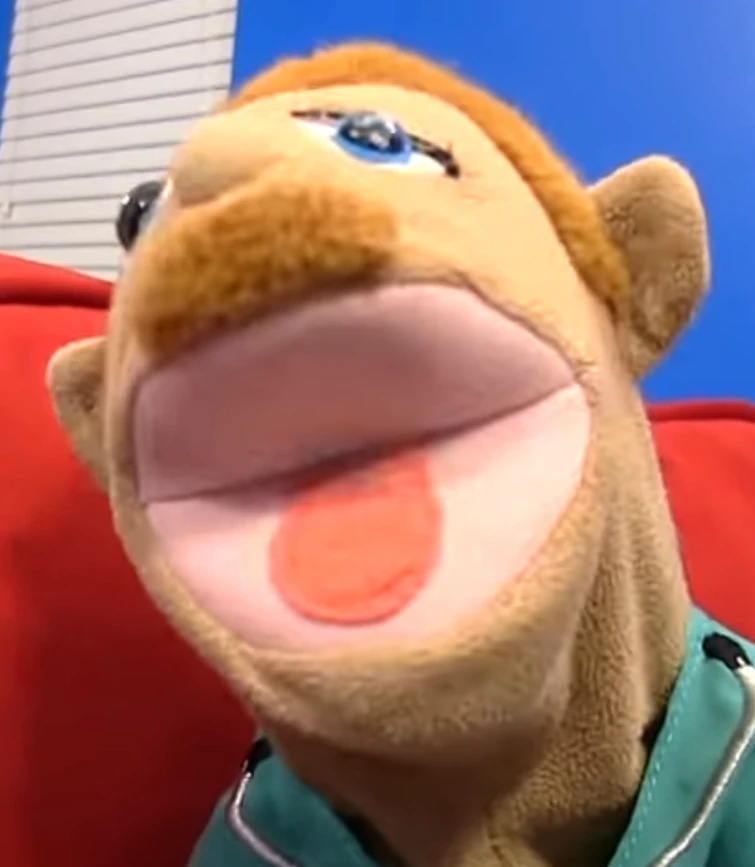 The people I see on here most | Fandom