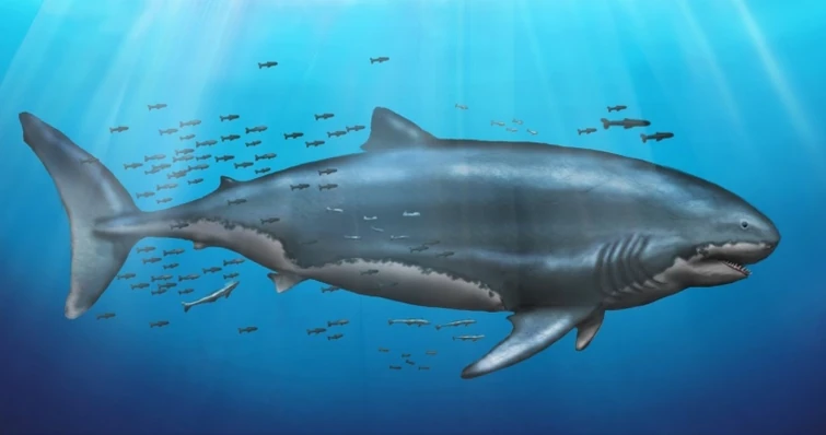 Kelbeam's Aquatic Spin Wheel Battles - Day 18 | Fandom