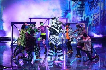 Discuss Everything About The Masked Singer Wiki | Fandom