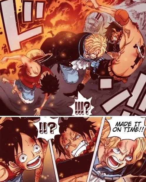 A What if pannel drawn by Oda himself | Fandom