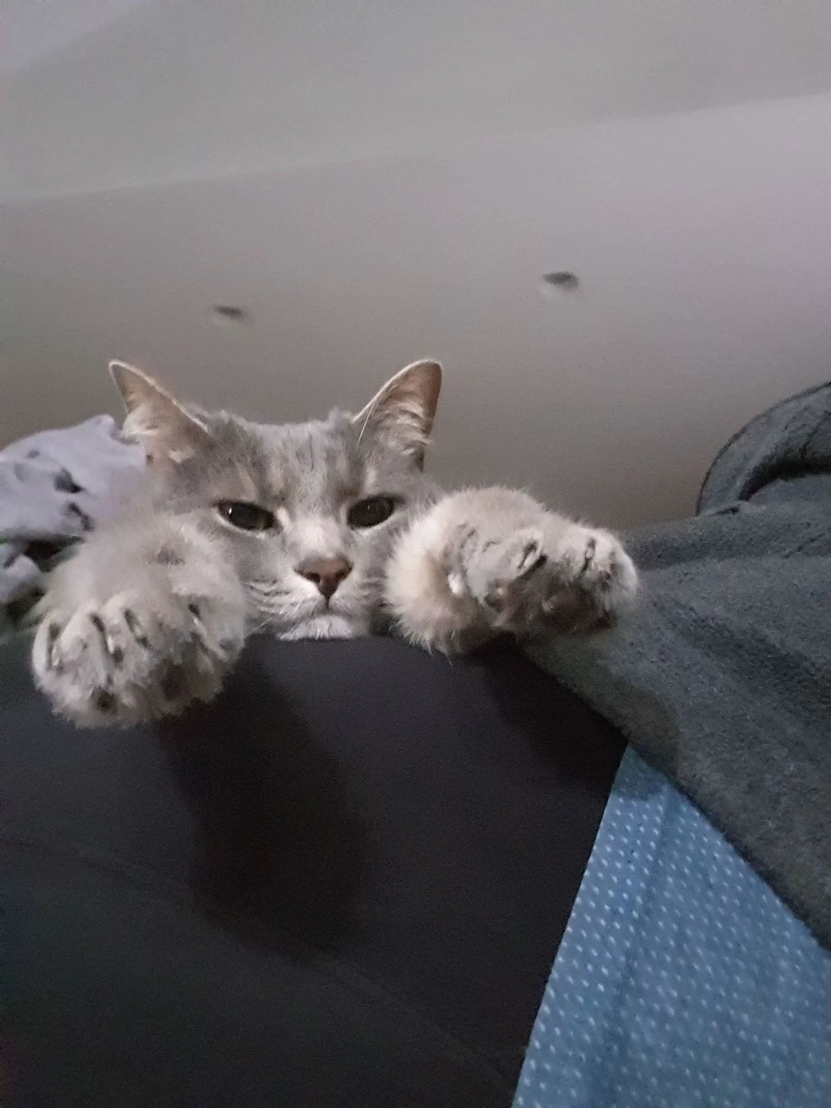 He's gonna getcha | Fandom