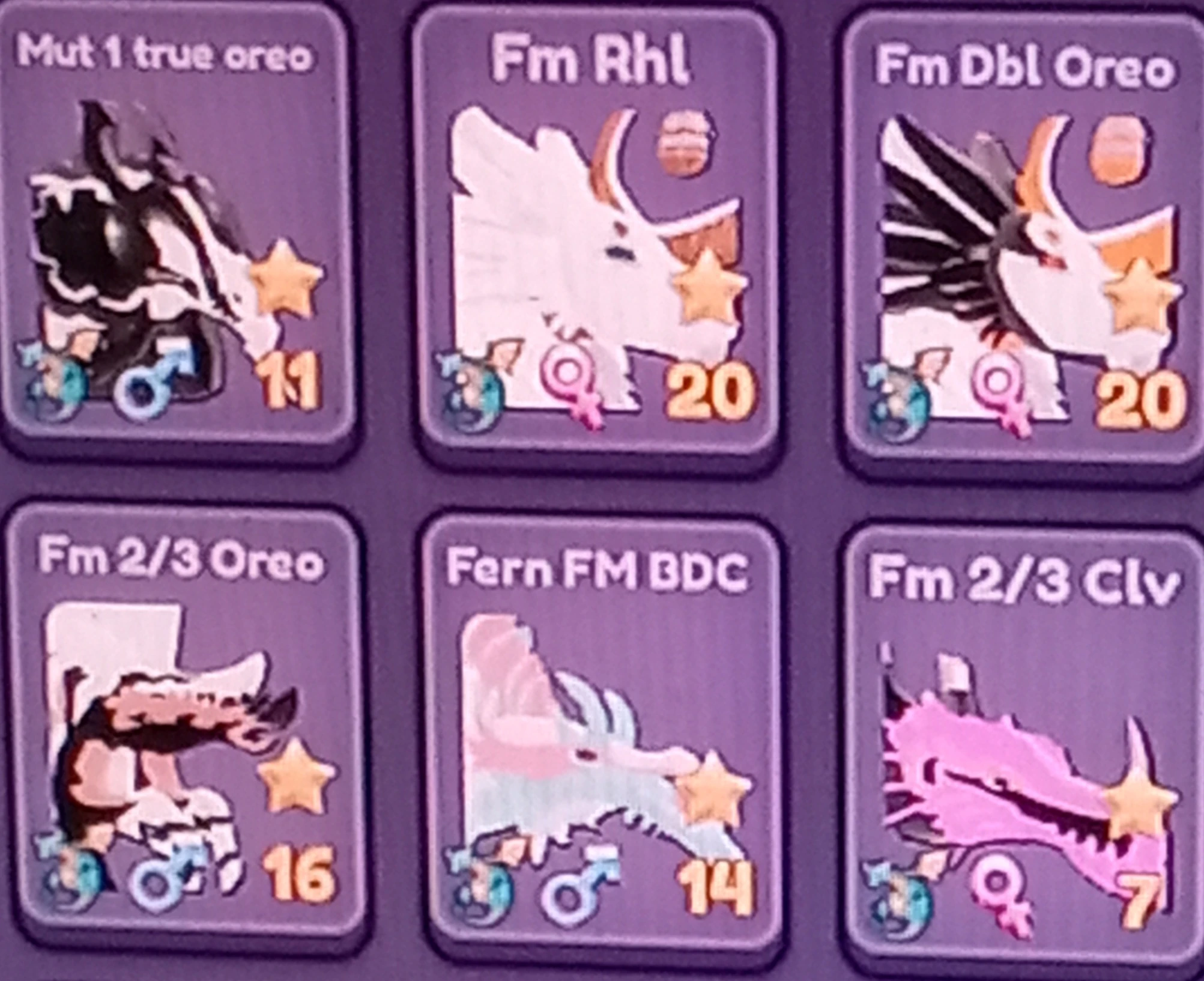 Inv auct^^(pls read) | Fandom