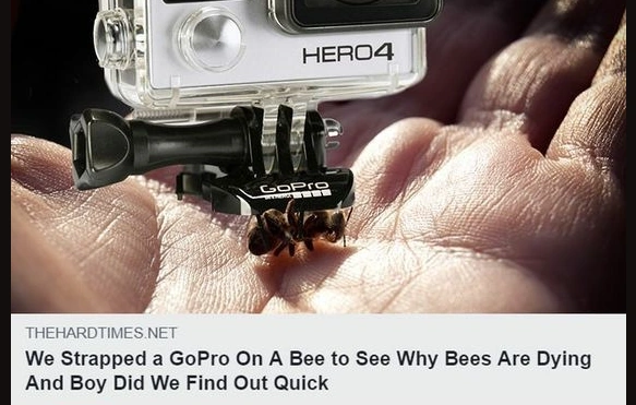 starscape is dead so im ganking randoms in ao now | Fandom