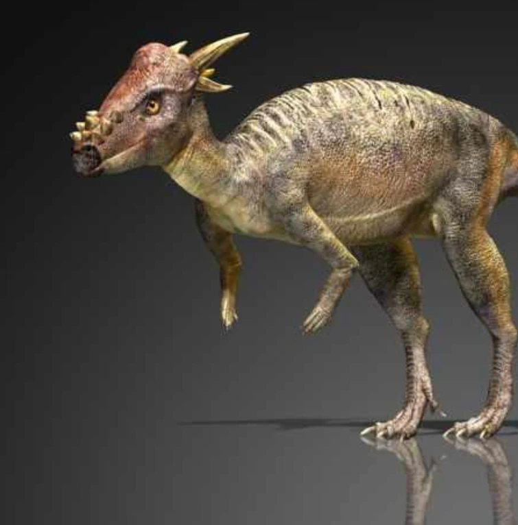 Discuss Everything About Dinopedia | Fandom