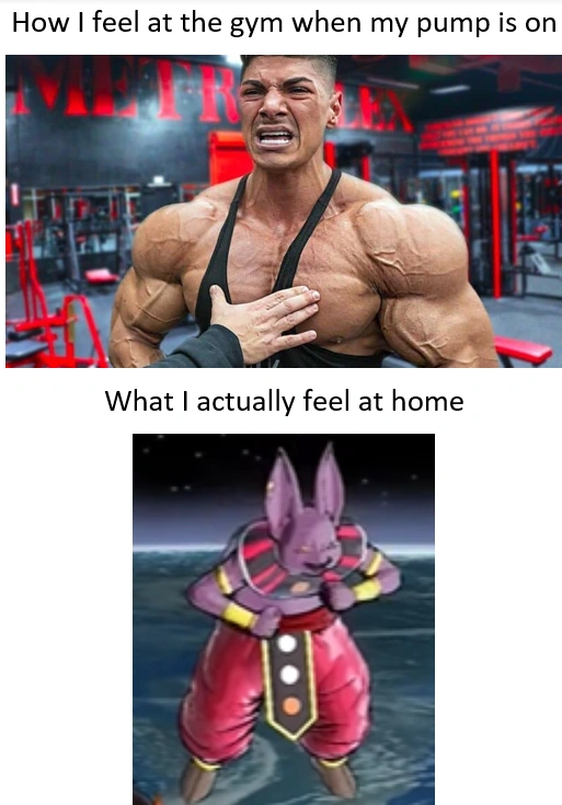 Dragon Ball Gym Meme | Fandom