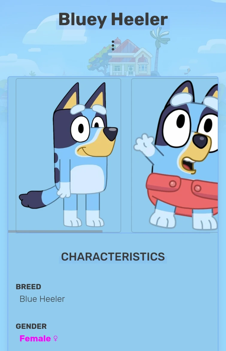 Discuss Everything About Bluey Wiki | Fandom