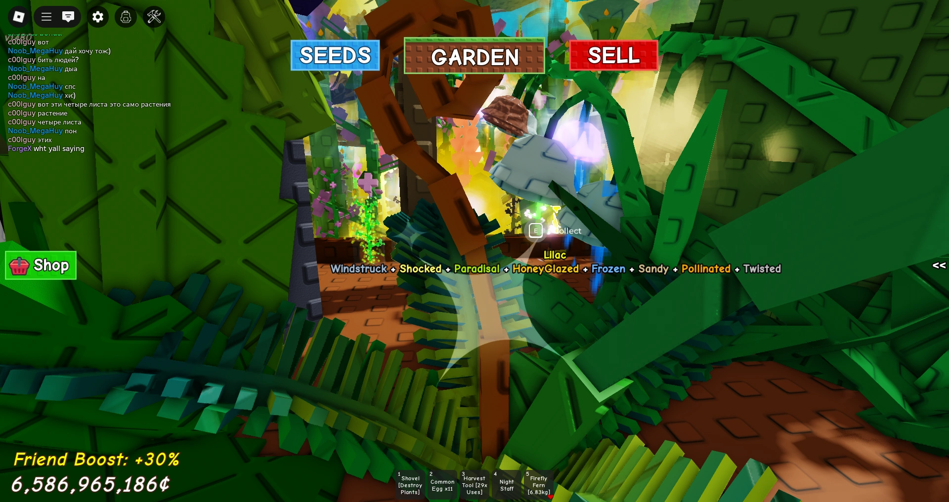 sunried firefly fern | Fandom