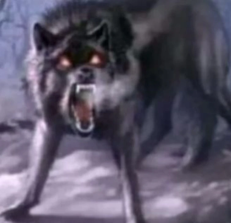 [JOKE RP] alpha wolf pack | Fandom
