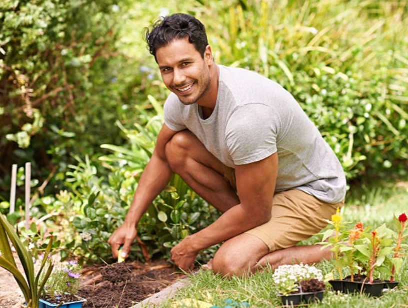 The next PvZ game will let you plant plants | Fandom