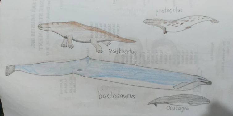 Discuss Everything About Dinopedia | Fandom