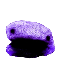 Pt 4 purple lil dude | Fandom