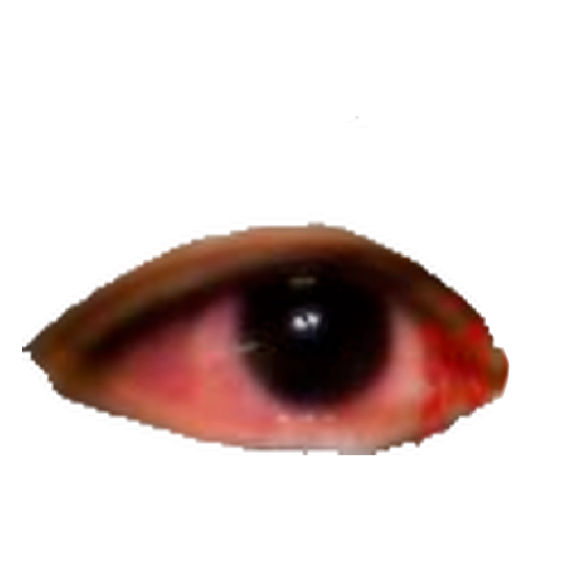 The real baby U-330 | Fandom