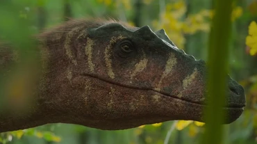 Discuss Everything About Dinopedia | Fandom