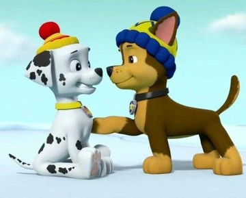 Top 5 Favorite Pup Friendships | Fandom