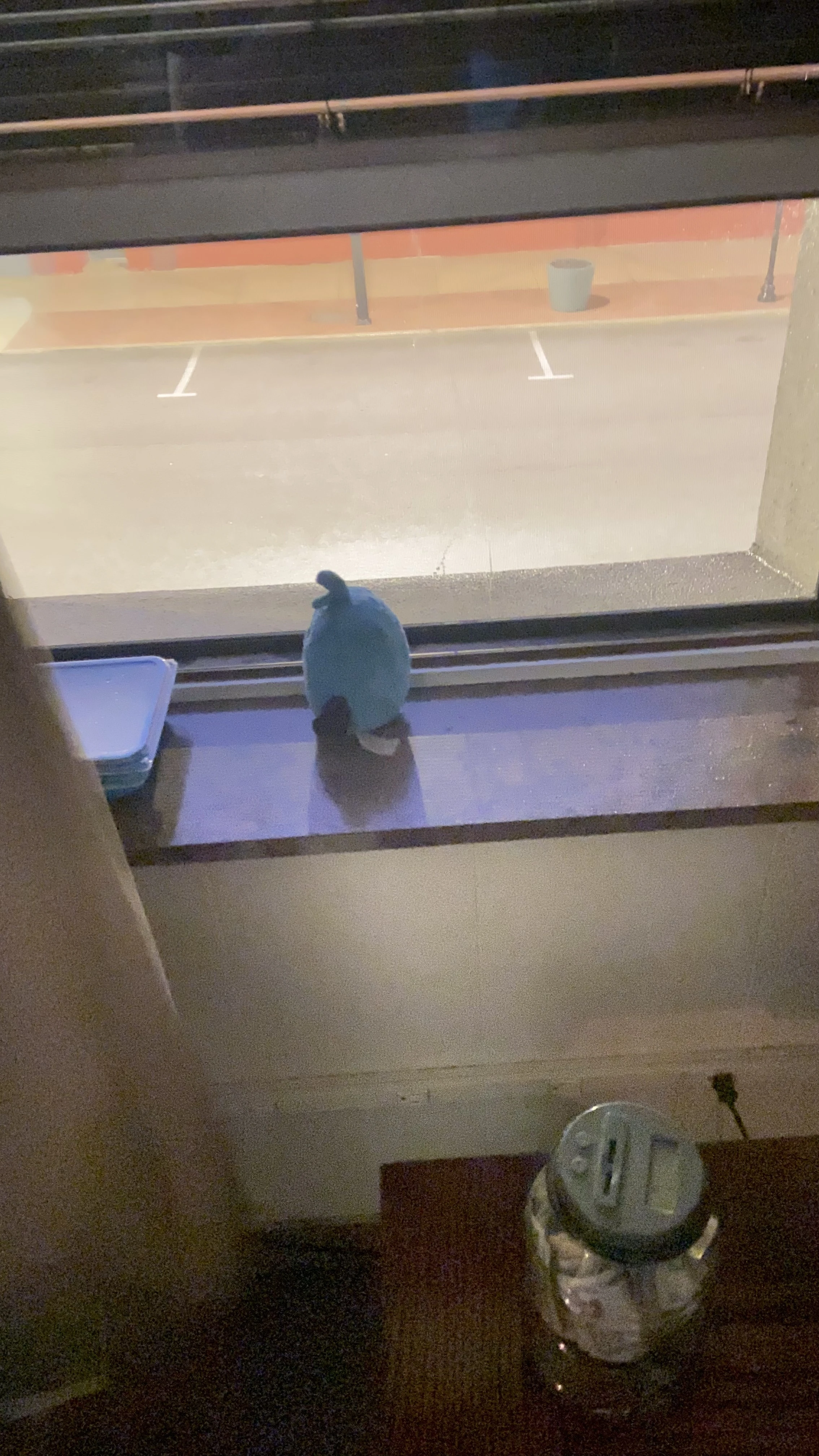 Jay watching the storm | Fandom