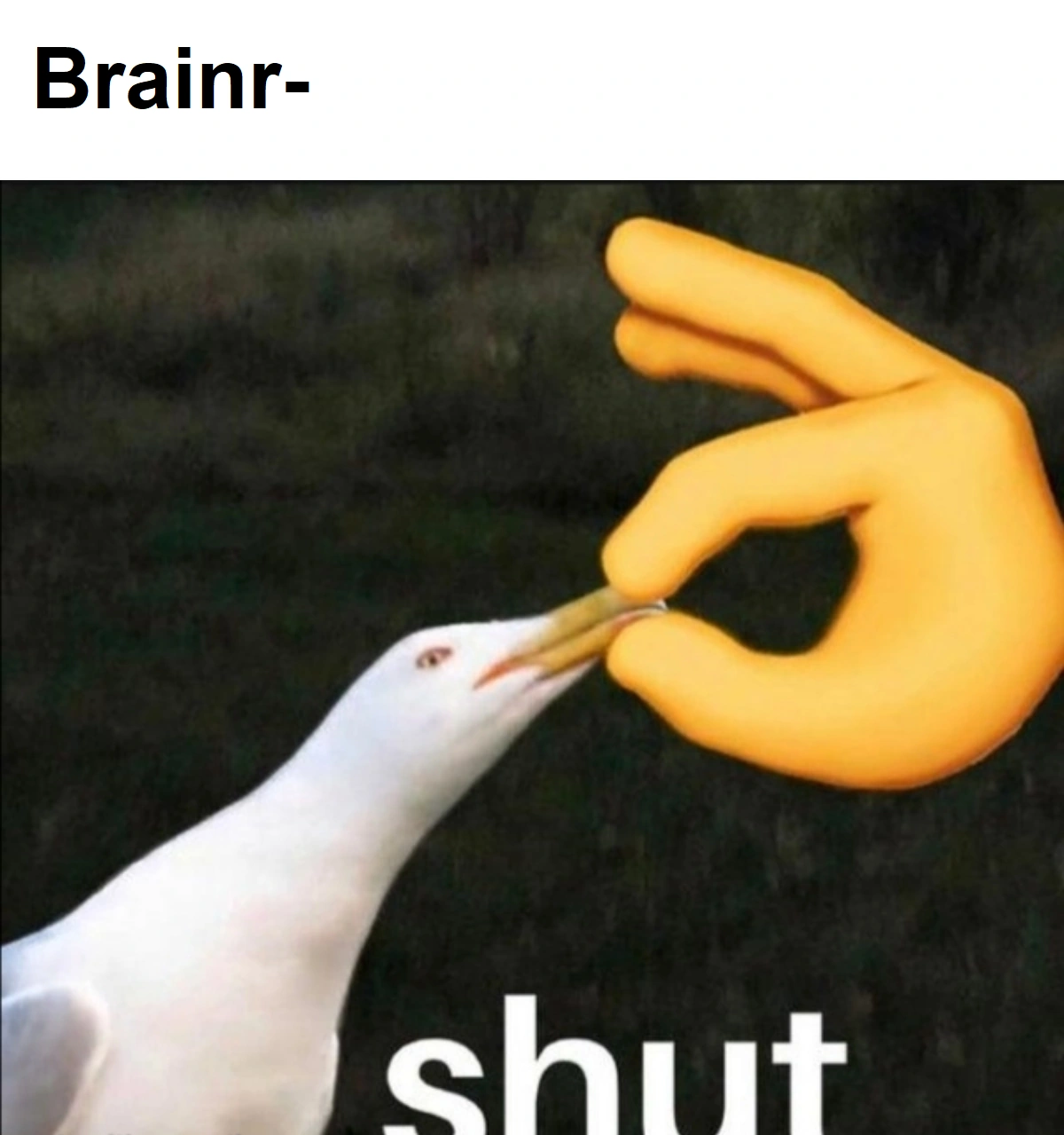 No comment. | Fandom