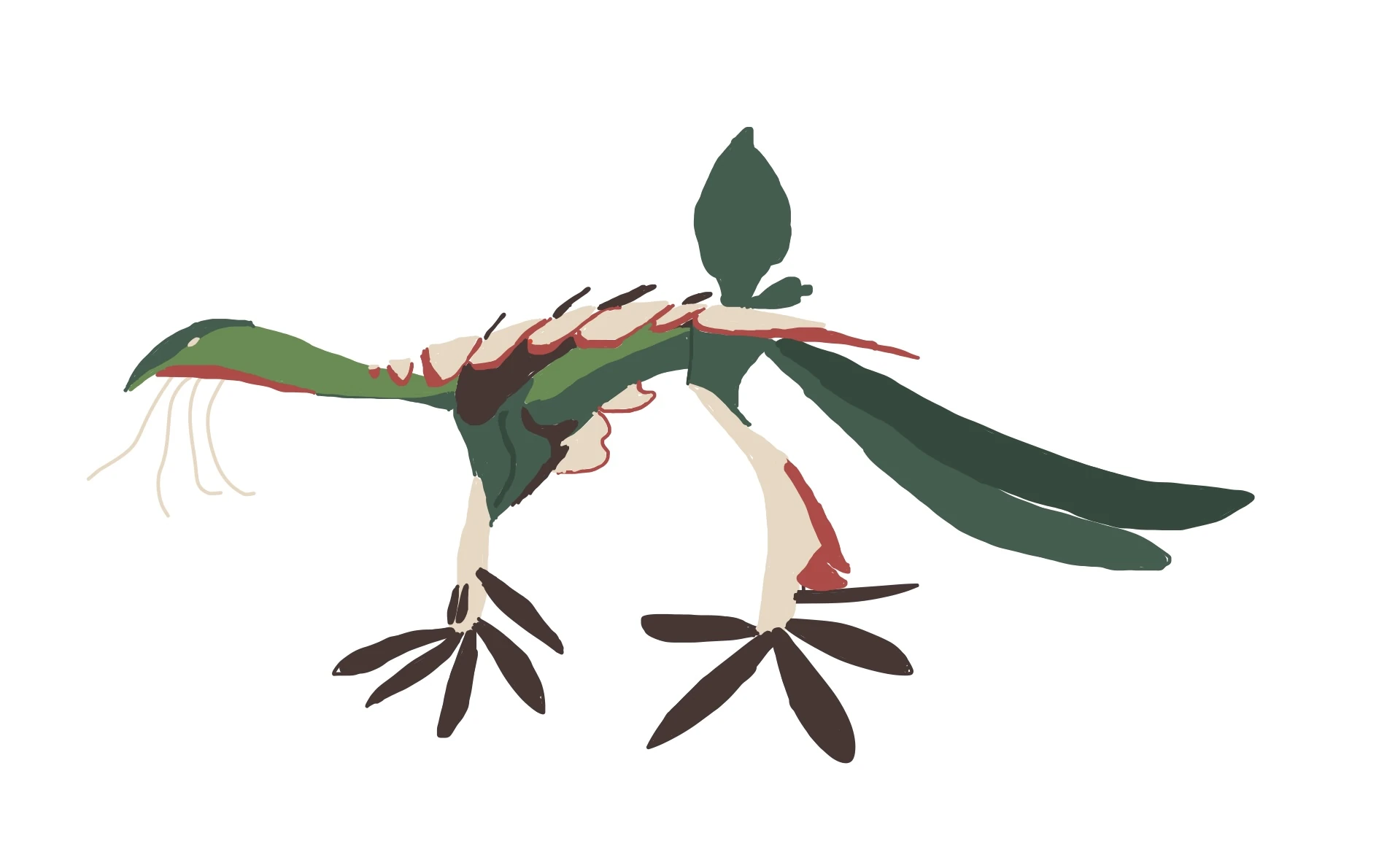 Bald aholai | Fandom