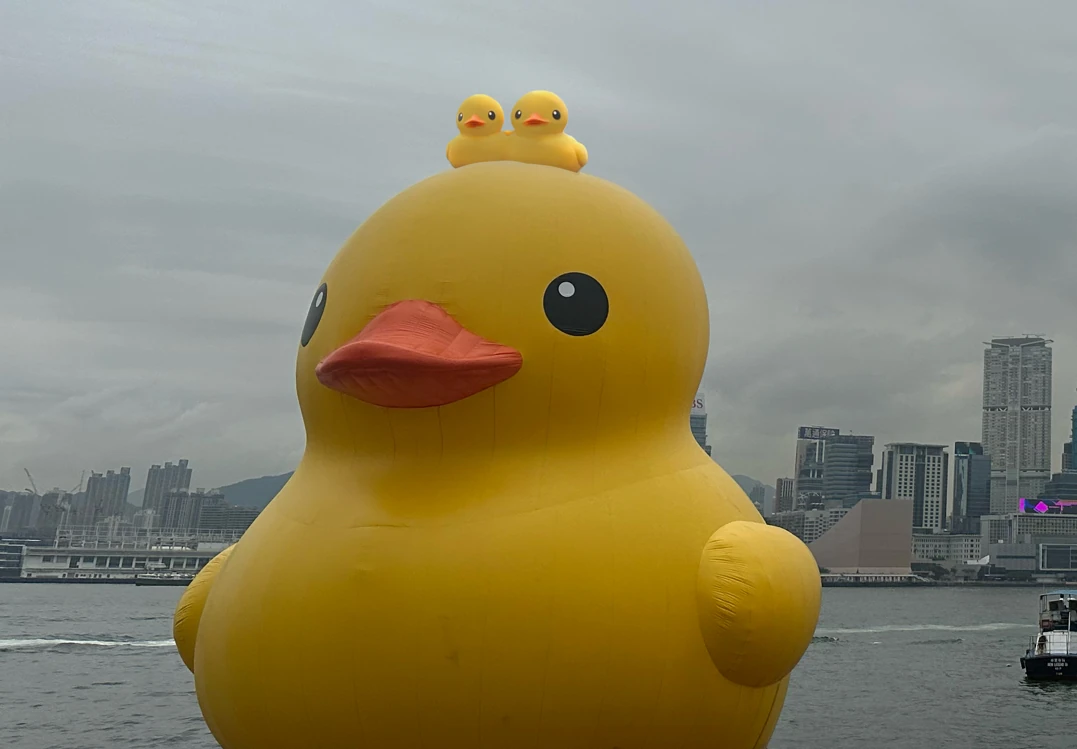 I photoshopped ducks (very funny looking) | Fandom