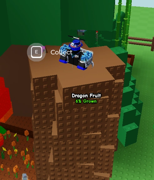 This might become the biggest dragonfruit tree... | Fandom