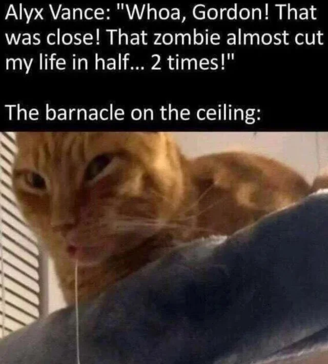 the barnacle on the ceiling | Fandom