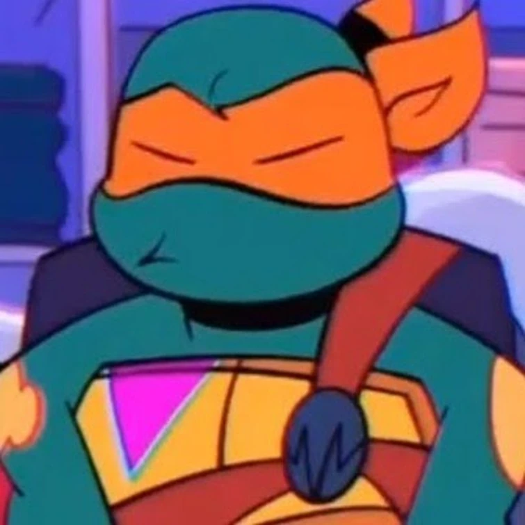 Turtle appreciation post | Fandom